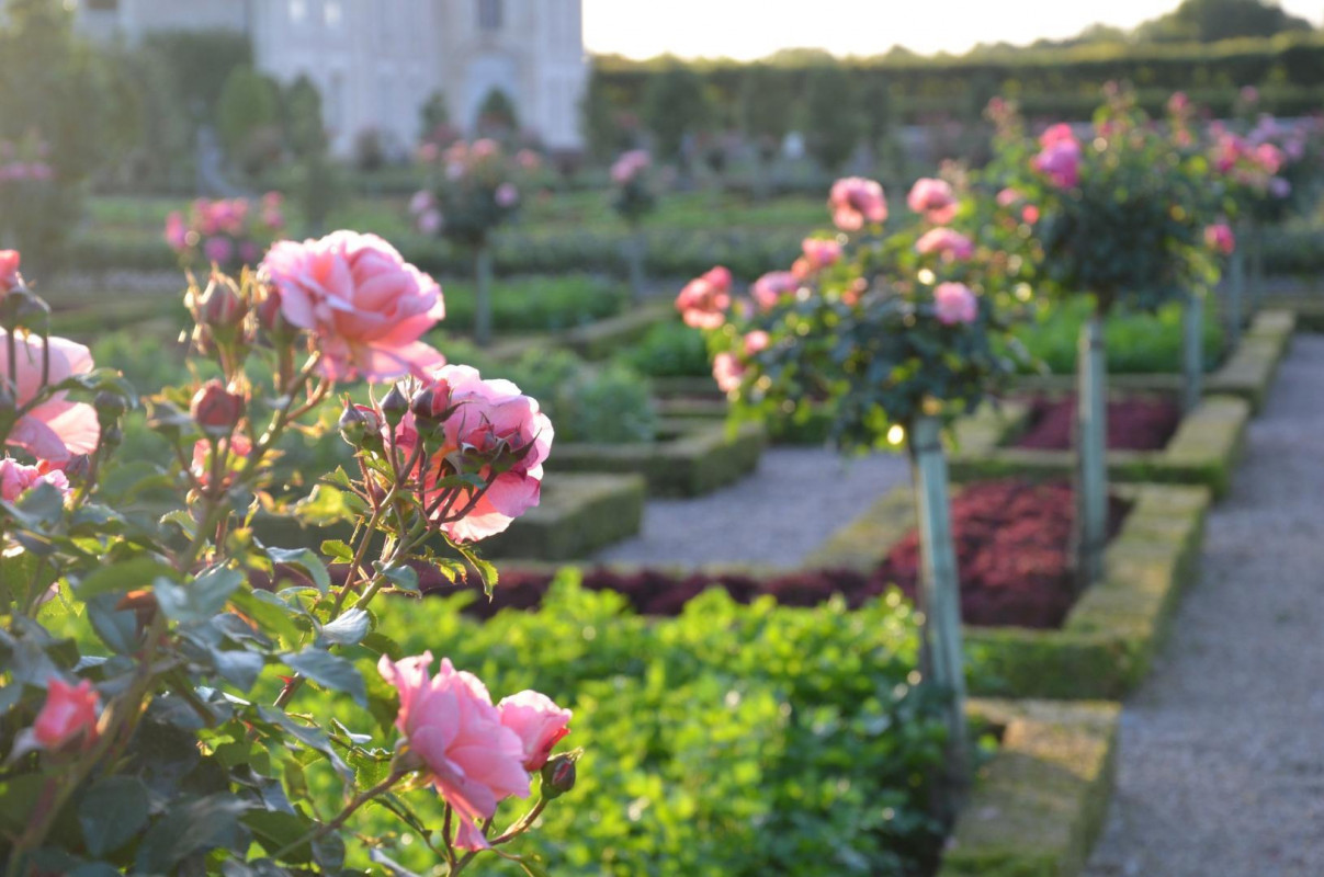 Jardins Du Château De Villandry